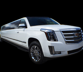 Classic Custom Coach